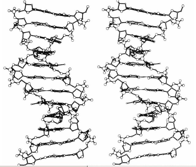 DNA, Biosensor, Friedrich Balck